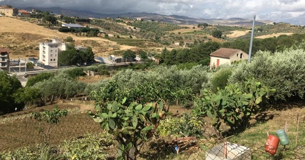 Vallelunga Pratameno, progetto per il torrente Salacio | Regione Siciliana