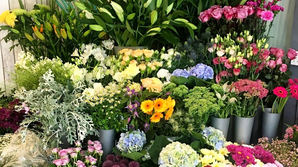 Arriva il BonuSicilia Fiorai, Turano: «Aiuti per 5 milioni di euro ...