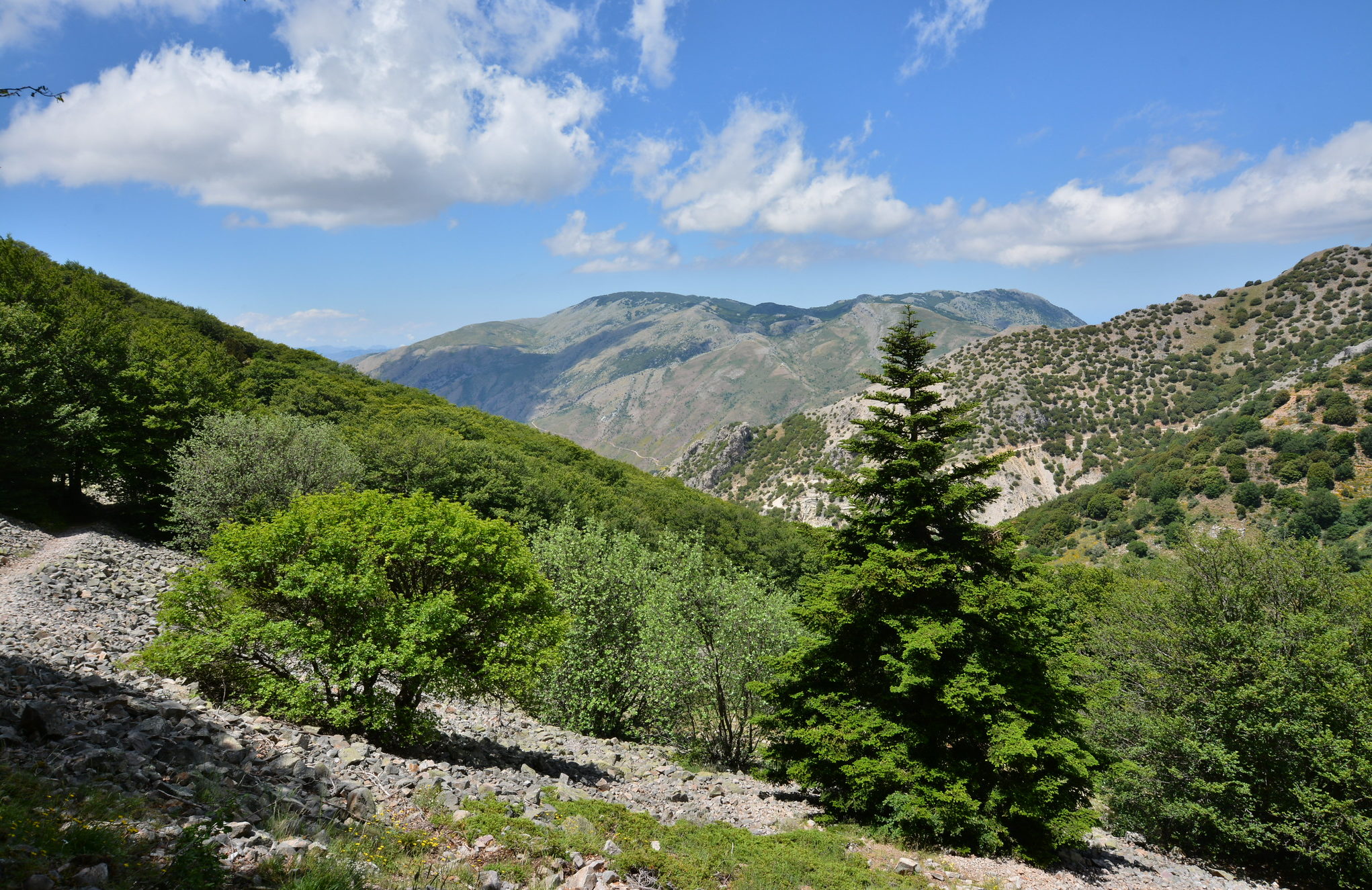 Zone franche montane, via libera alla perimetrazione: sono 159 Comuni ...