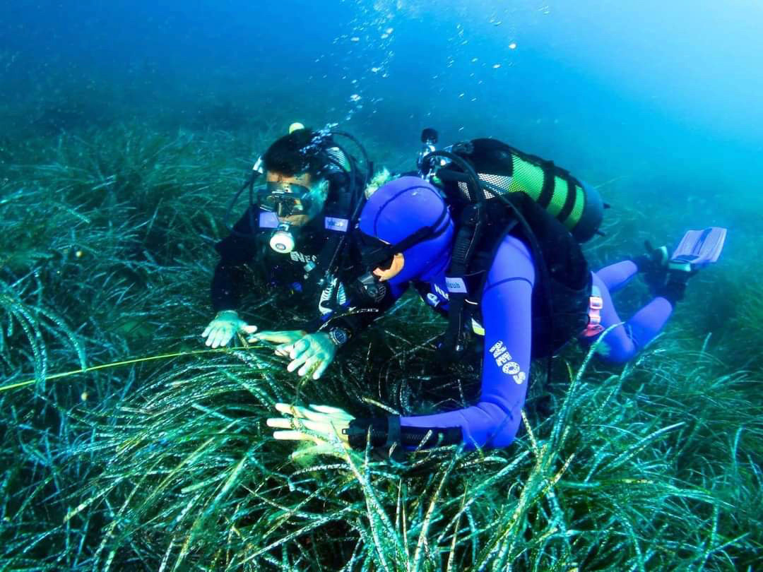Beni culturali, siti archeologici subacquei anche per i non vedenti ...
